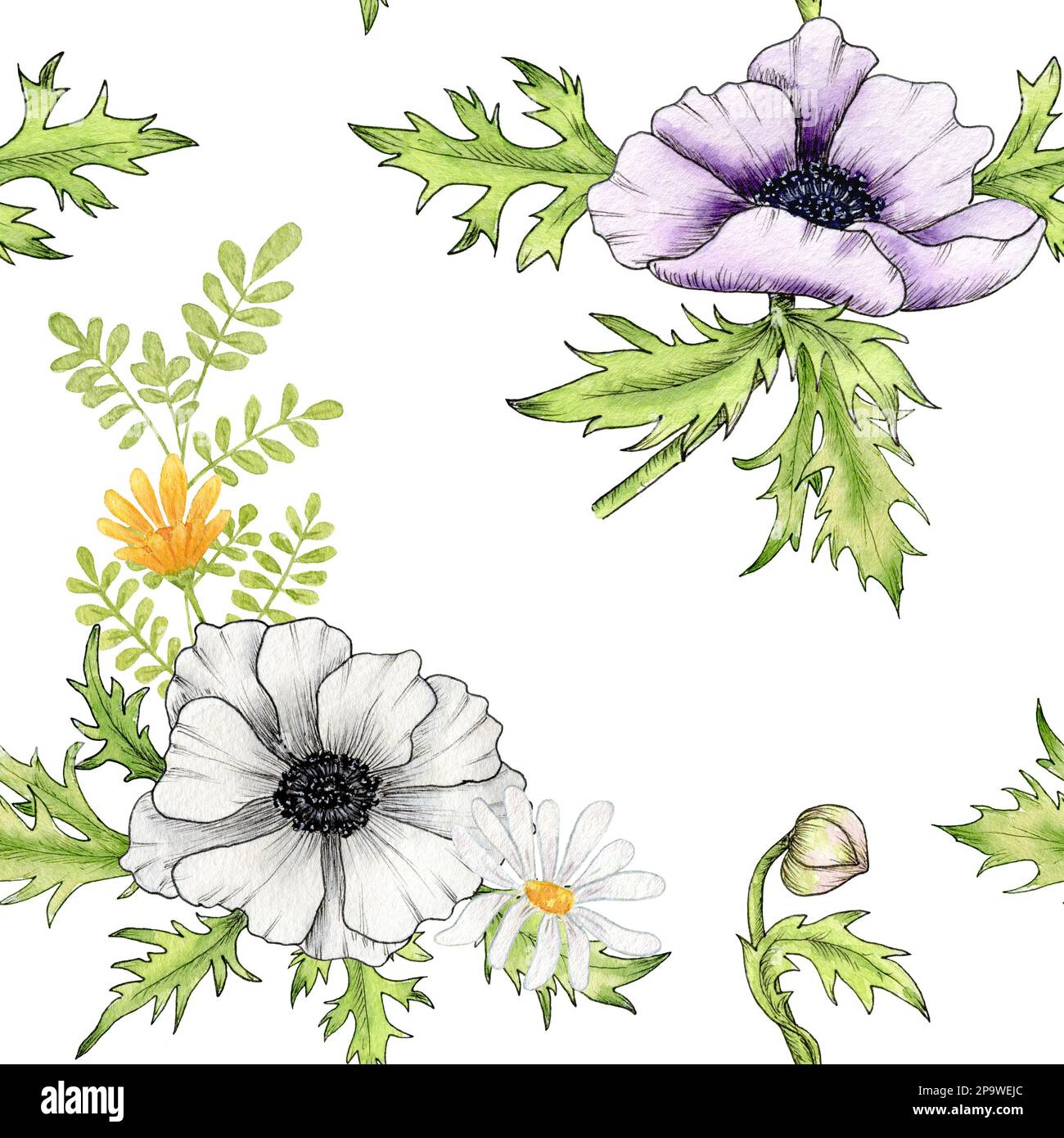 Anemone background. Watercolor seamless pattern with anemone flowers. A ...