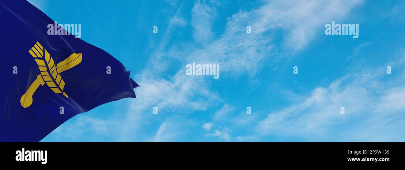 official flag of Air Force Support Continental Command triangle Turkey ...