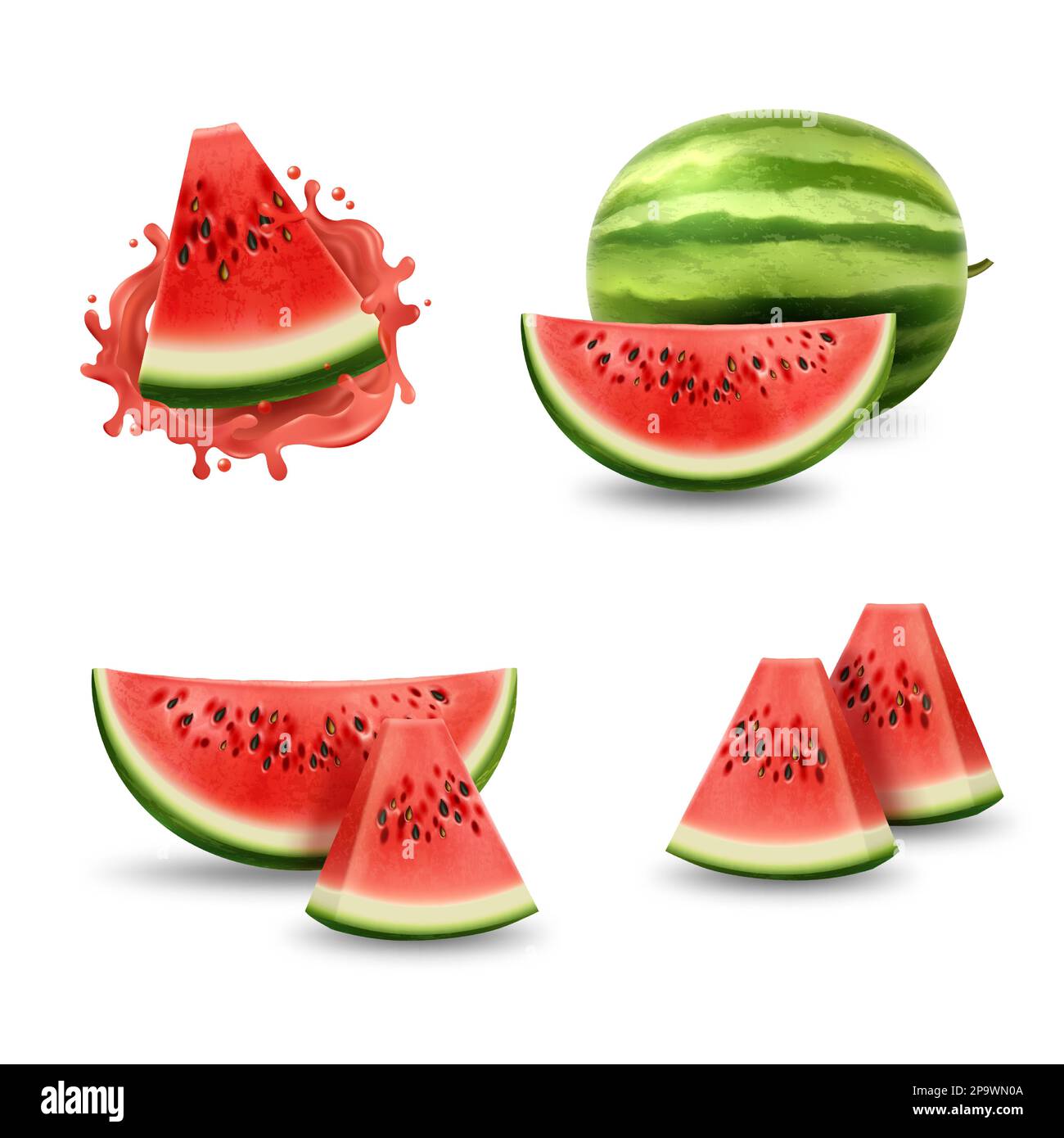 3d realistic watermelon, isolated slices and whole. Water melon ...