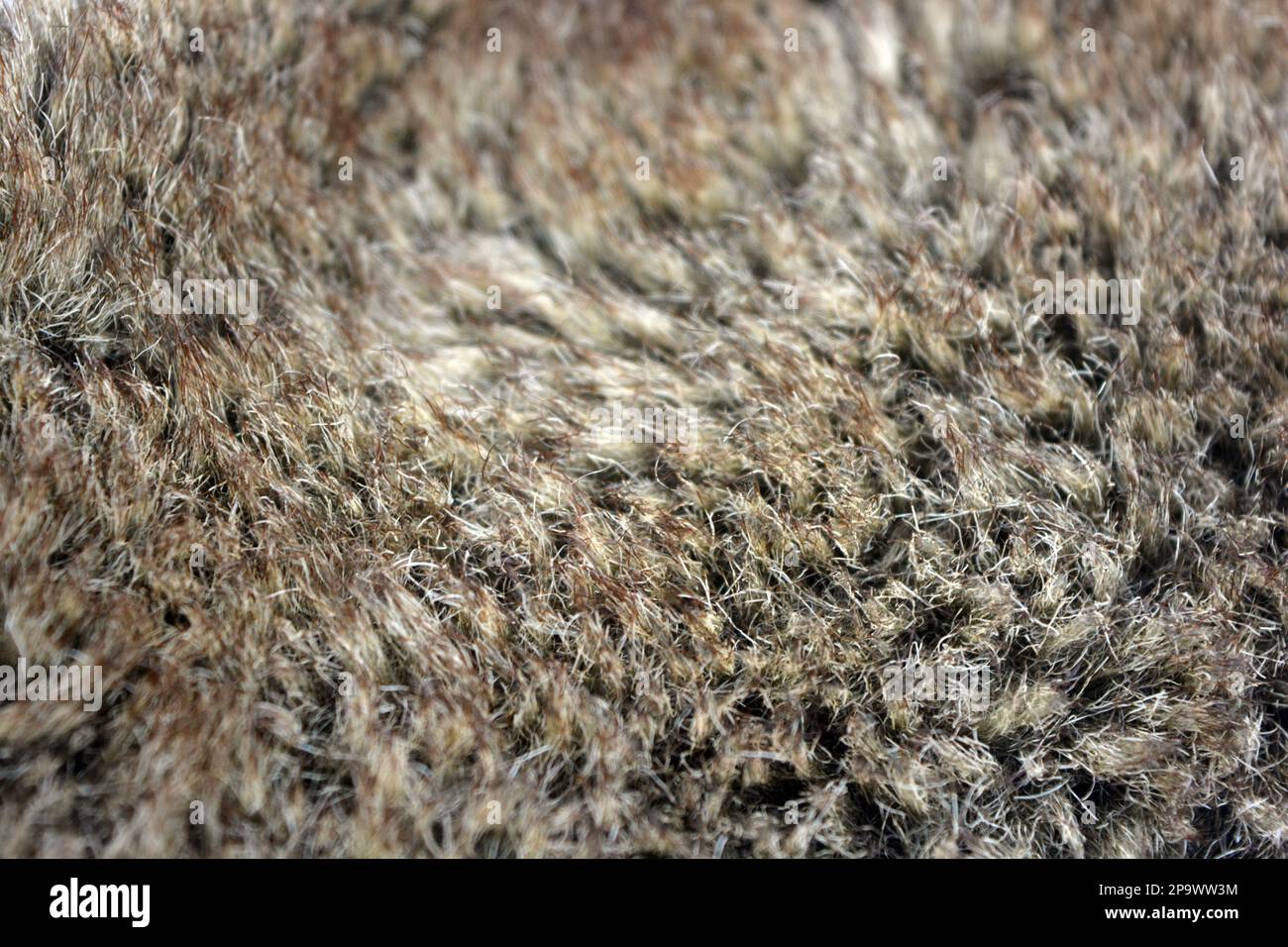 Fluffy synthetic fabric in the form of natural cinnamon yellow fur with ...