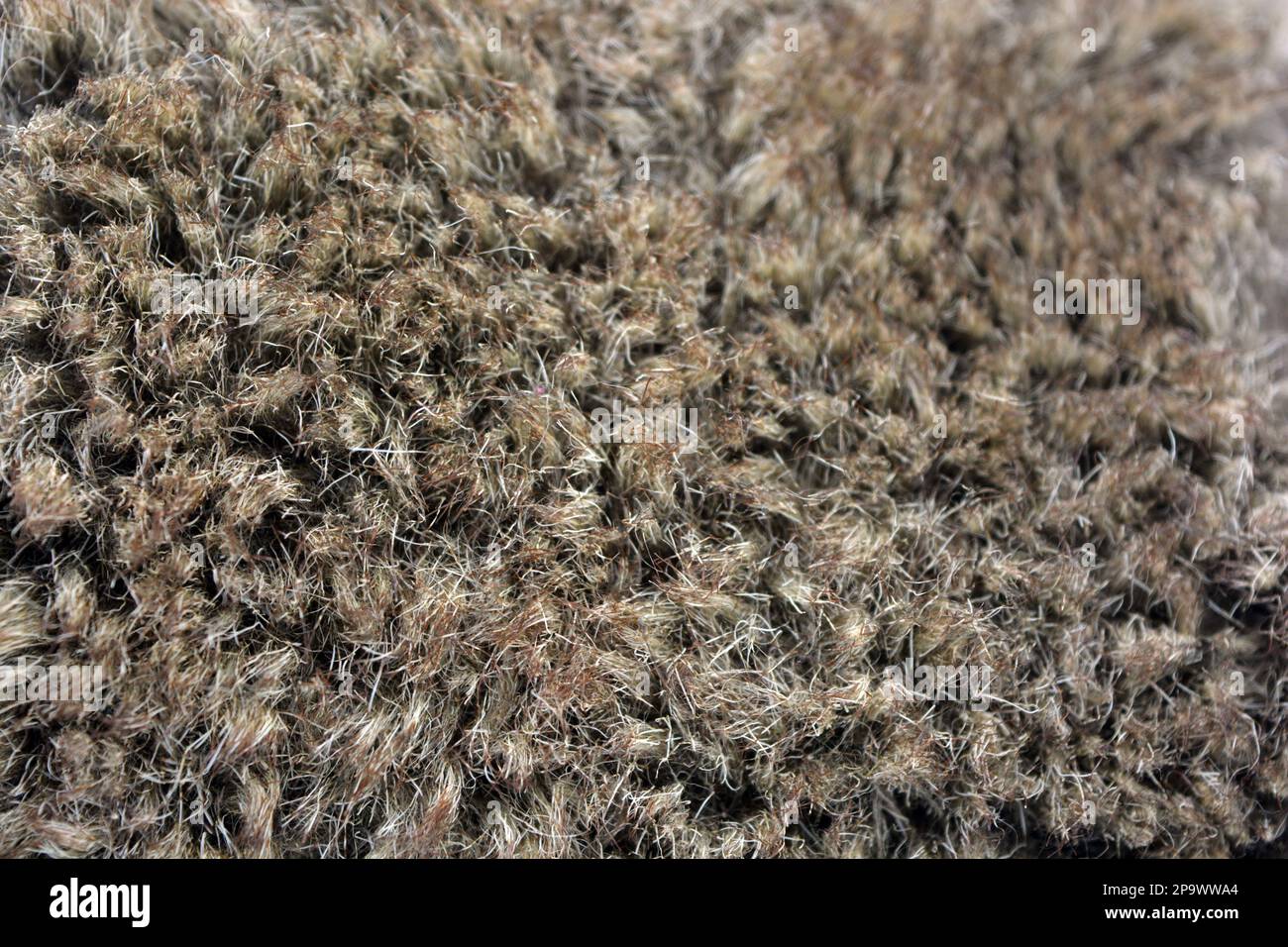 Fluffy synthetic fabric in the form of natural cinnamon yellow fur with ...