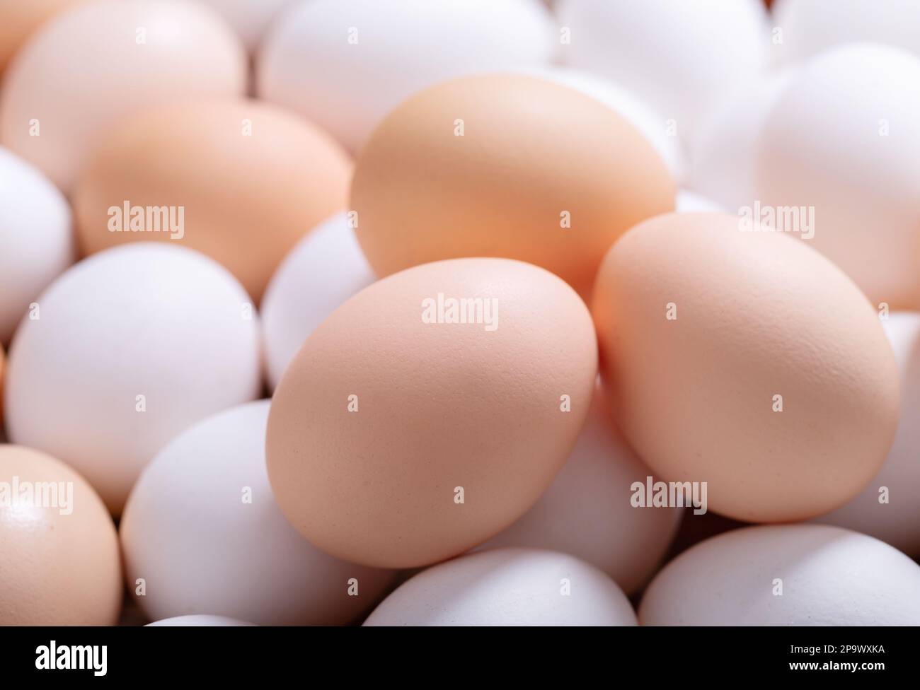 Colorful chicken eggs as background Stock Photo - Alamy