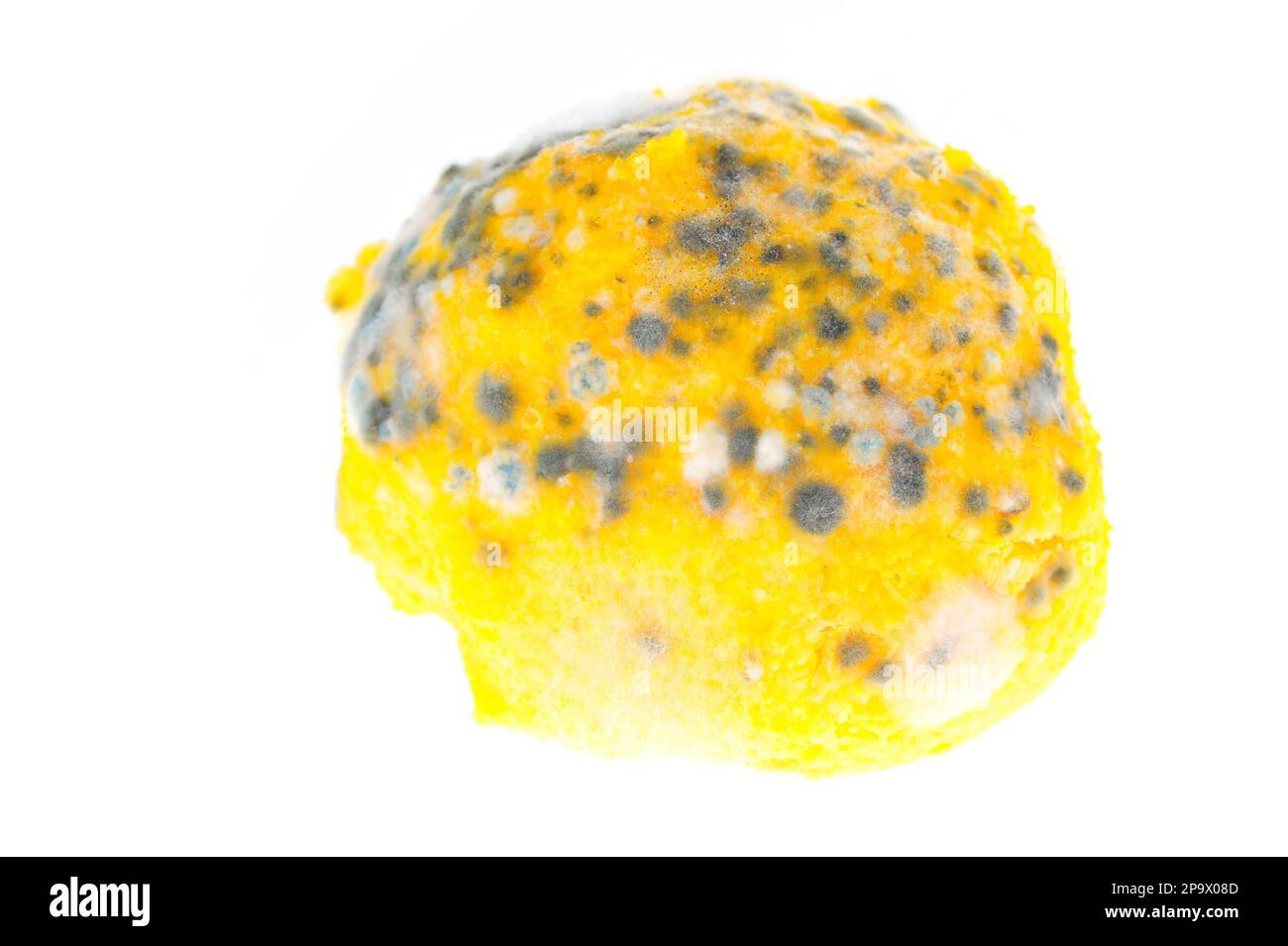 Moldy snacks on a white background Stock Photo - Alamy