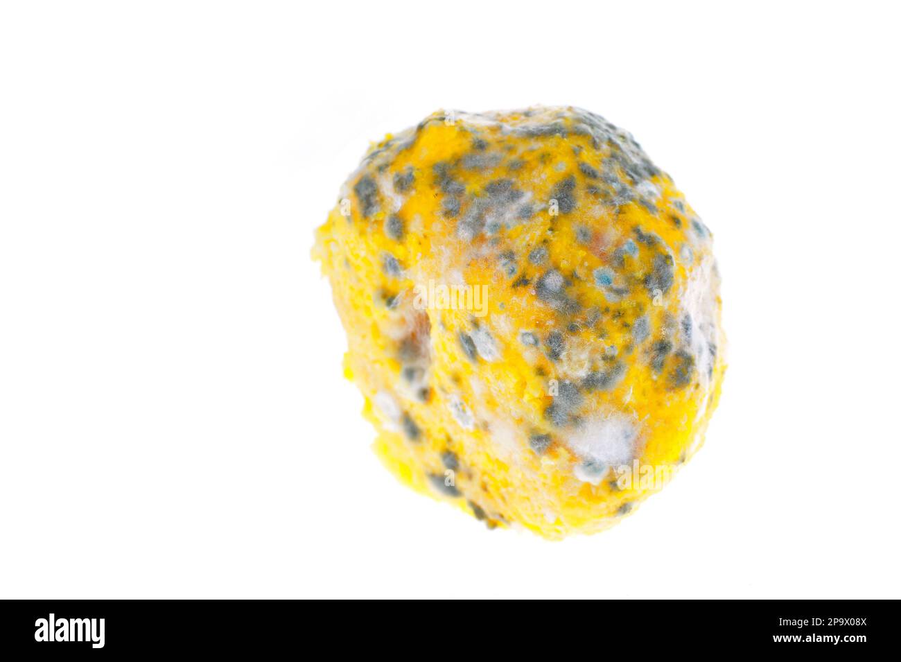 Moldy snacks on a white background Stock Photo - Alamy