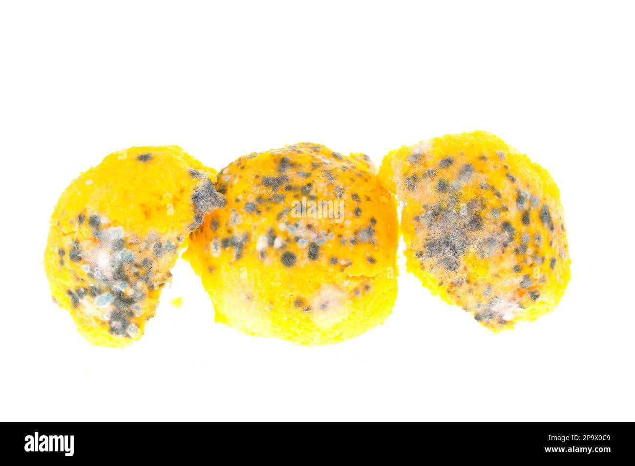 Moldy snacks on a white background Stock Photo - Alamy