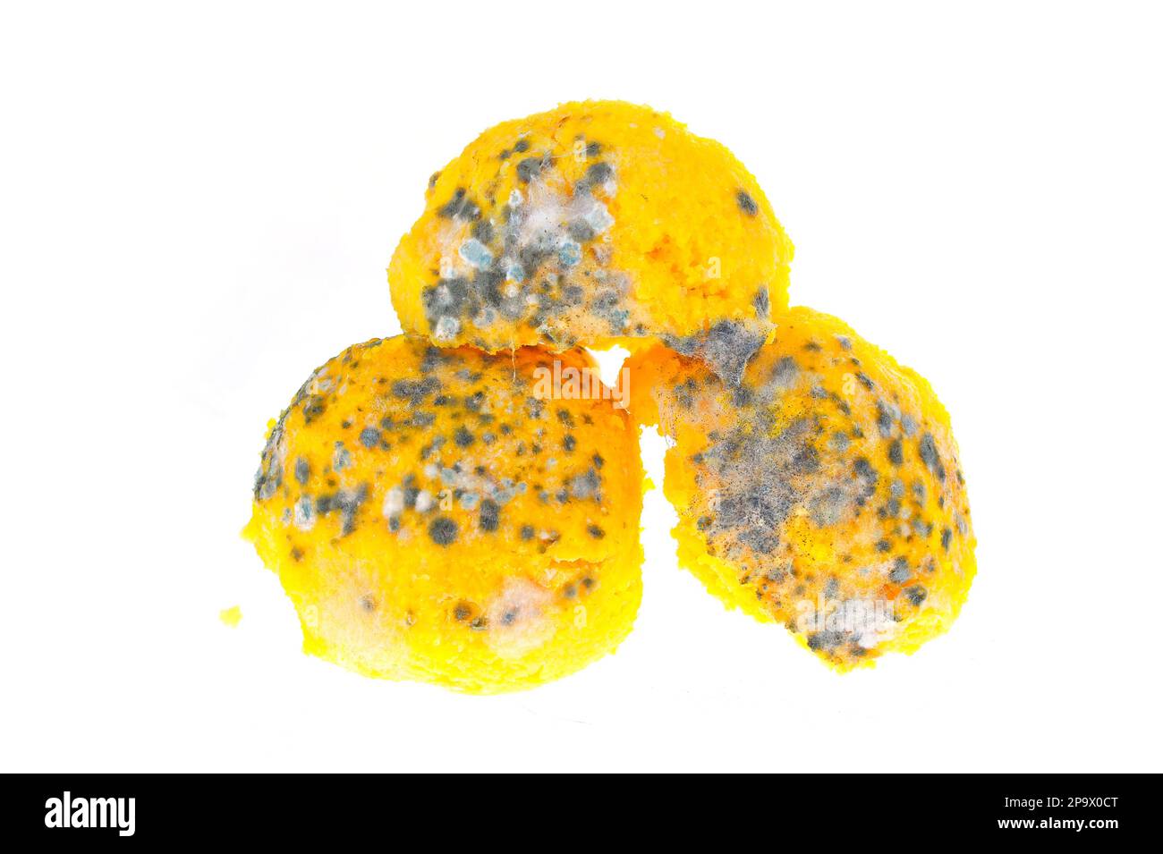 Moldy snacks on a white background Stock Photo - Alamy