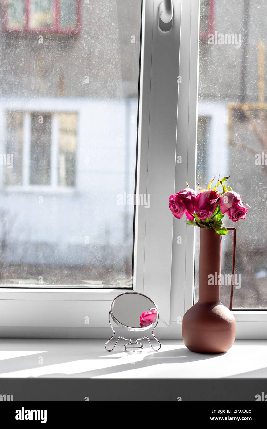 Window with very dirty and dusty glass in daylight. Withered pink roses ...