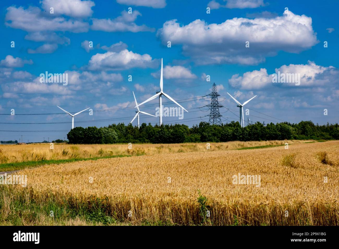 Windfarms in the UK Stock Photo - Alamy