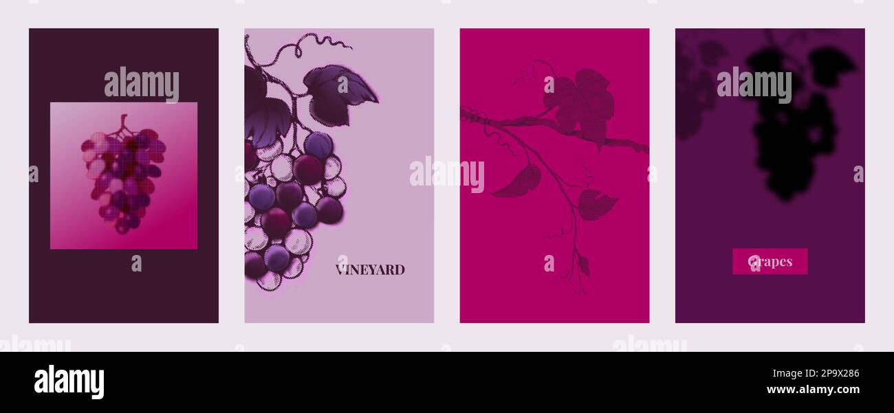 Wine posters, grape pattern, abstract background. Halftone presentation ...
