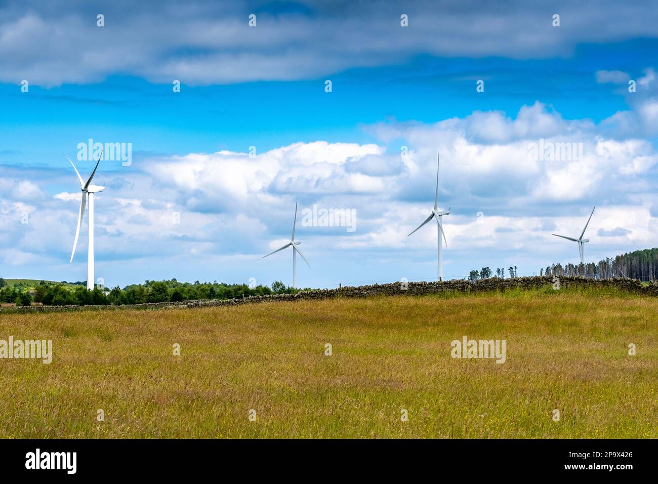 Windfarms in the UK Stock Photo - Alamy