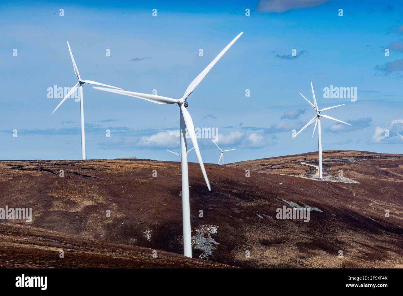 Windfarms in the UK Dorenell Windfarm Stock Photo - Alamy
