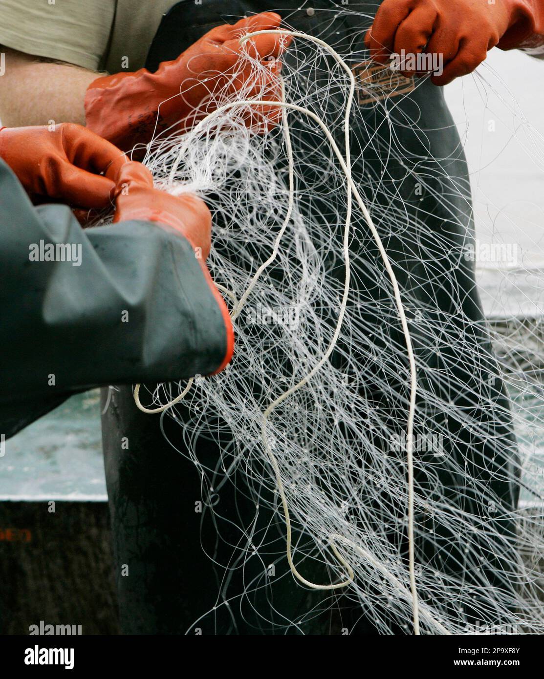 Charlie Hopkins and Vincent Halligan untangle a fishing net as they ...