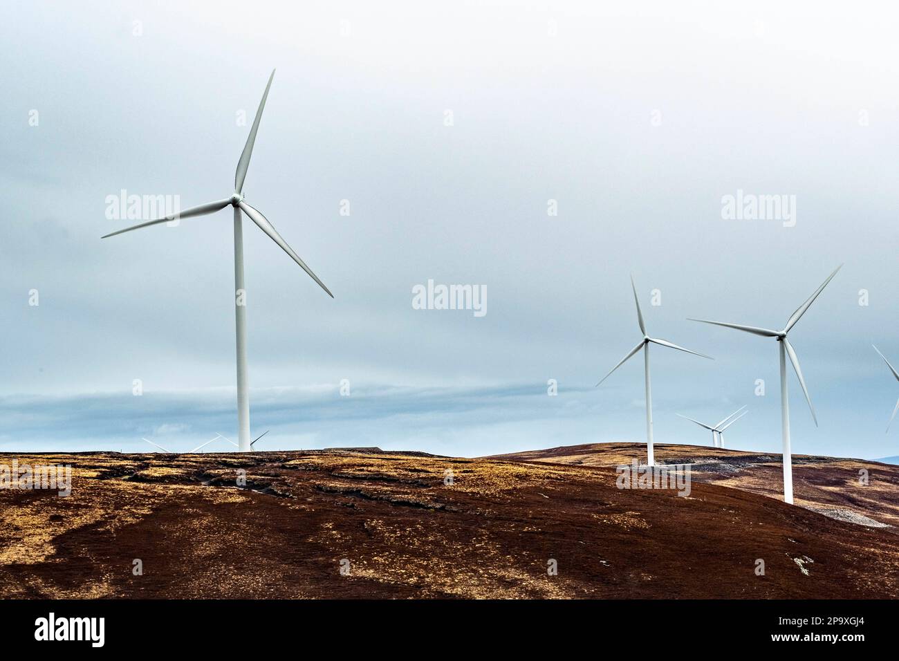 Windfarms in the UK Dorenell Windfarm Stock Photo - Alamy
