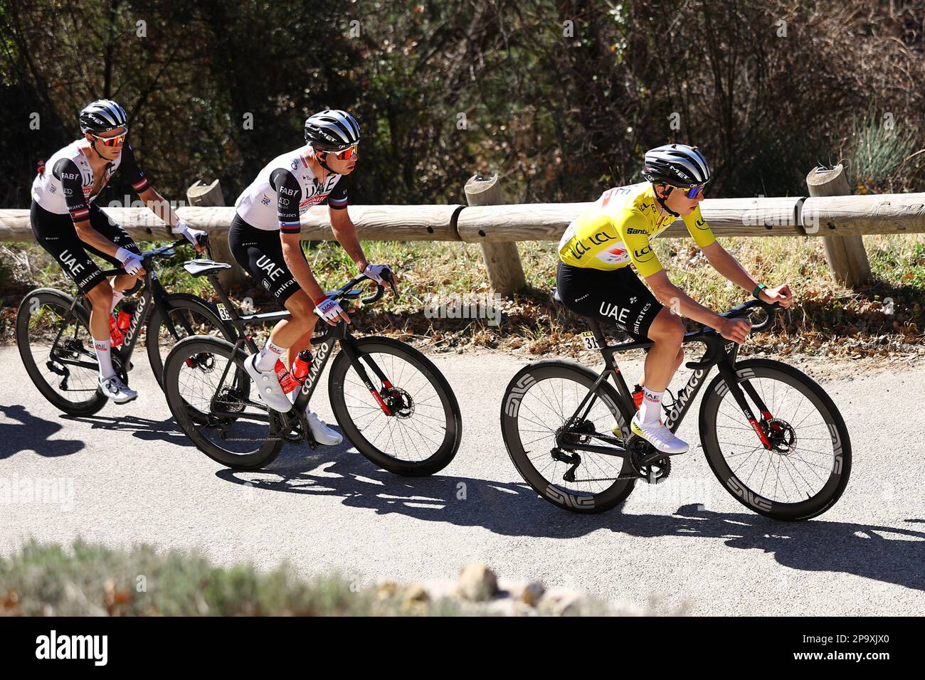 Slovenian Tadej Pogacar of UAE Team Emirates and Slovenian Domen Novak ...