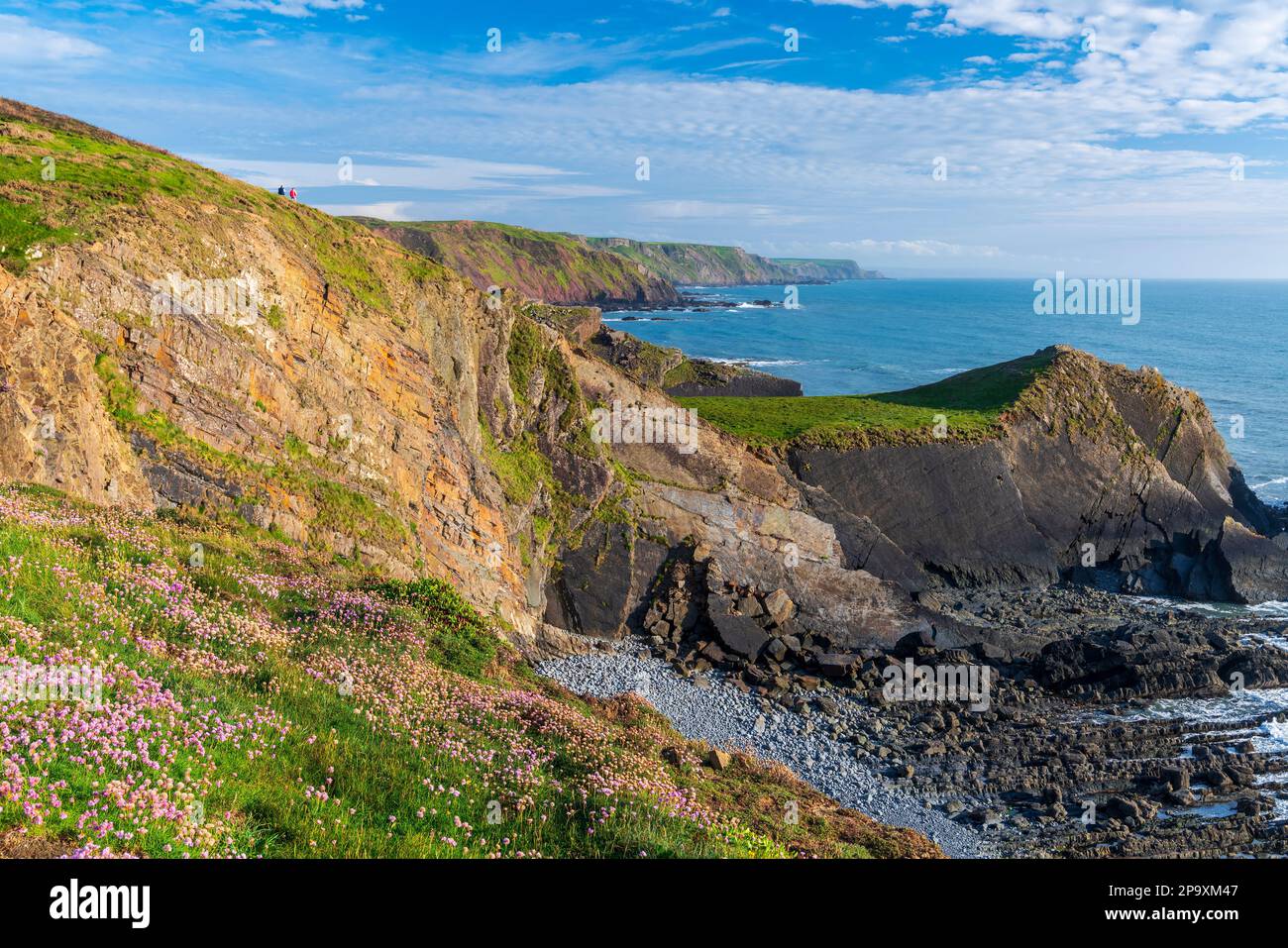 Hartland Quay, Devon, England, United Kingdom, Europe Stock Photo - Alamy