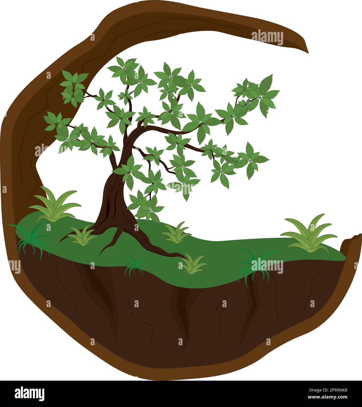 Crooked plant Stock Vector Images - Alamy