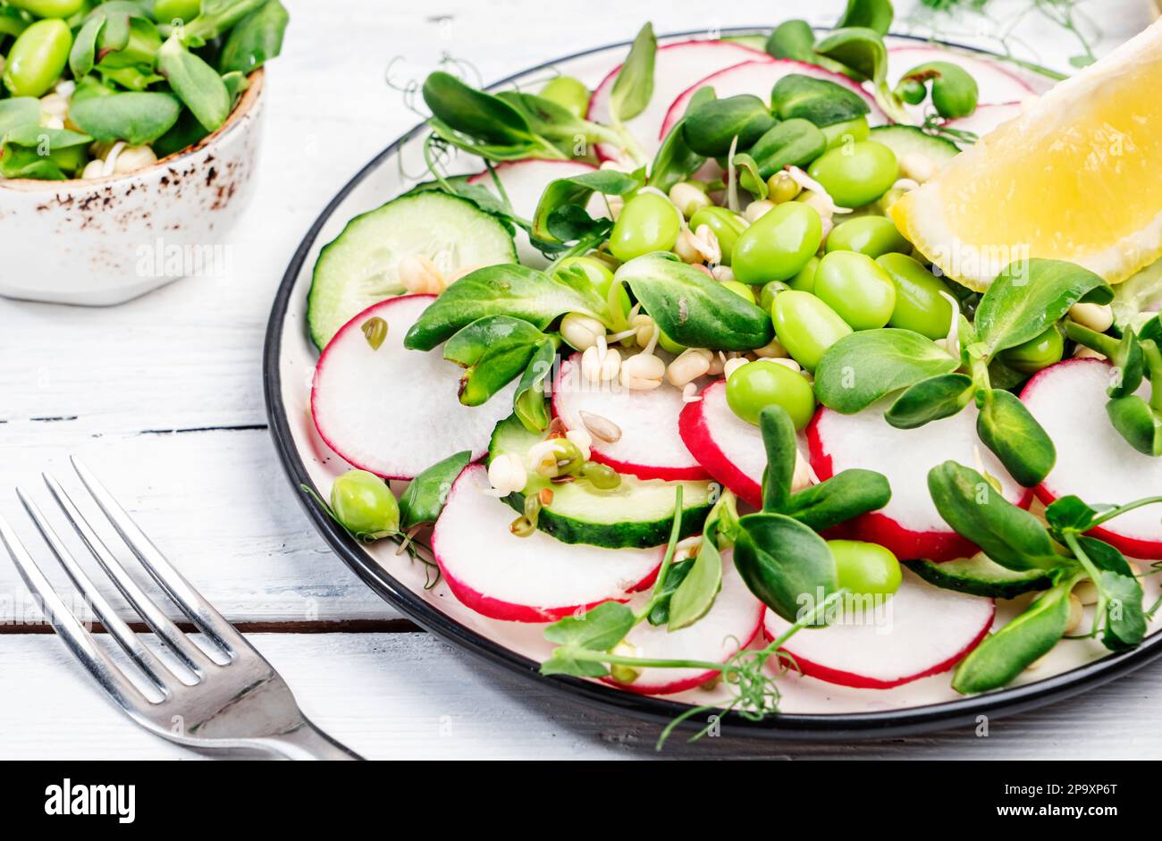 Spring vegan salad with radish, cucumber, green pea, sunflower and soy ...