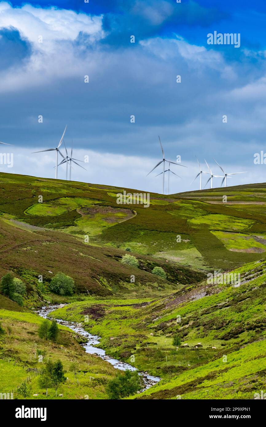 On shore British Windfarms Fallago Rig Windfarm Stock Photo - Alamy
