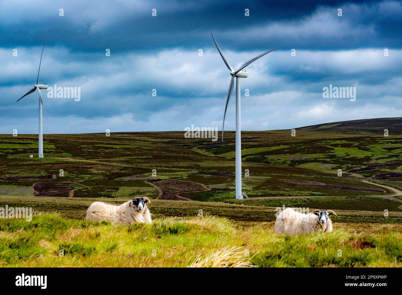 On shore British Windfarms Fallago Rig Windfarm Stock Photo - Alamy