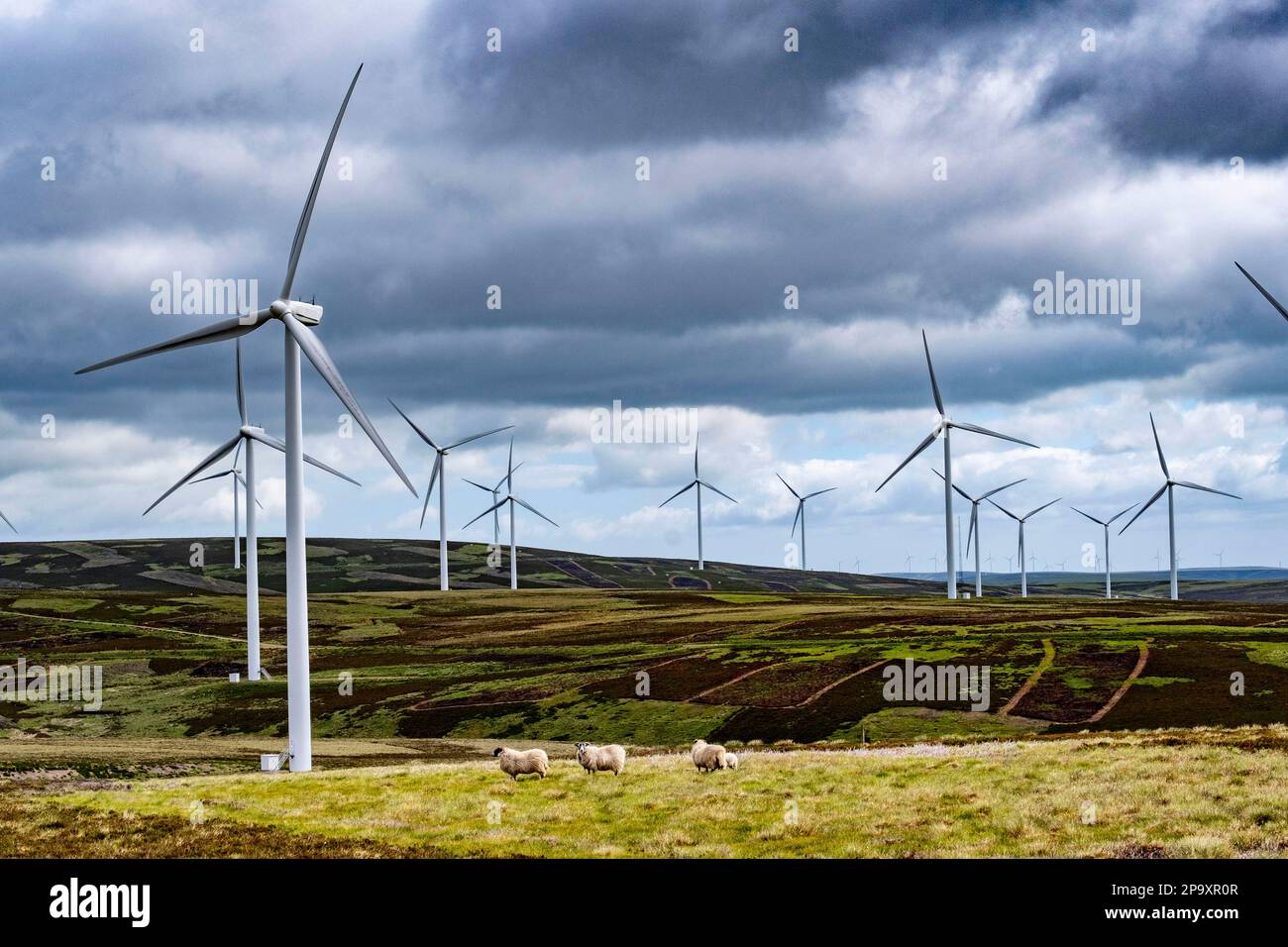 Fallago rig wind farm hi-res stock photography and images - Alamy