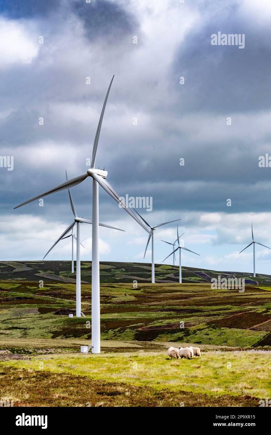 Fallago rig wind farm hi-res stock photography and images - Alamy