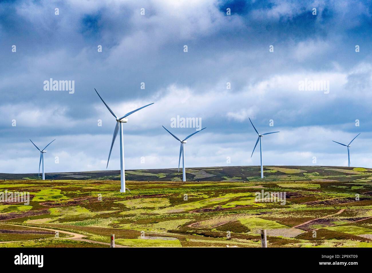 On shore British Windfarms Fallago Rig Windfarm Stock Photo - Alamy