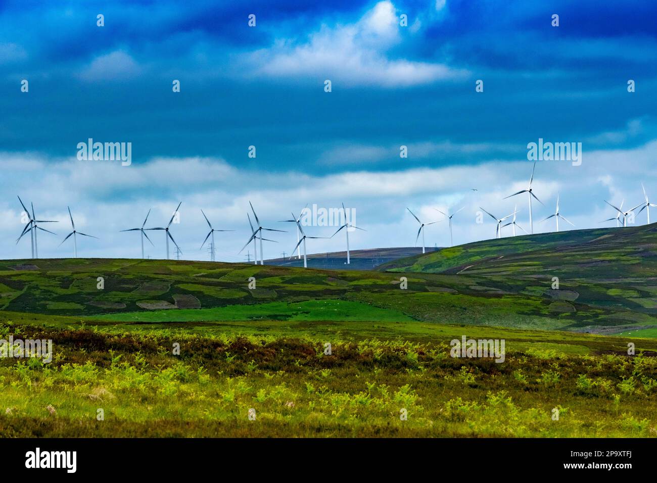 On shore British Windfarms Fallago Rig Windfarm Stock Photo - Alamy