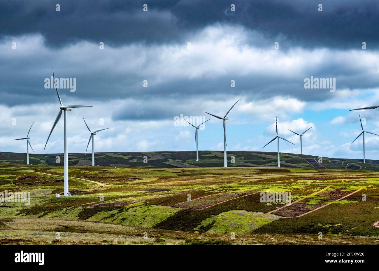 On shore British Windfarms Fallago Rig Windfarm Stock Photo - Alamy