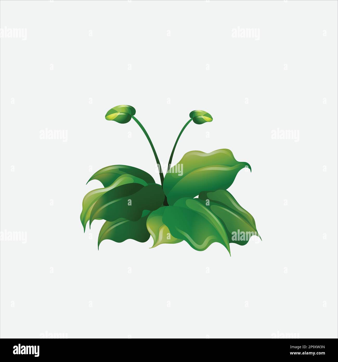 Exotic tree flower Stock Vector Images - Alamy