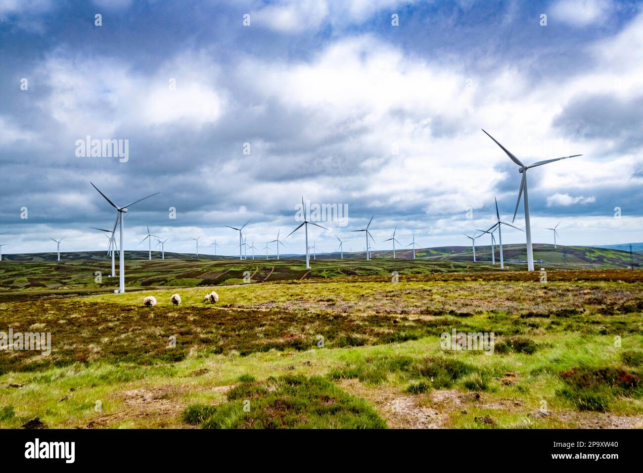 On shore British Windfarms Fallago Rig Windfarm Stock Photo - Alamy
