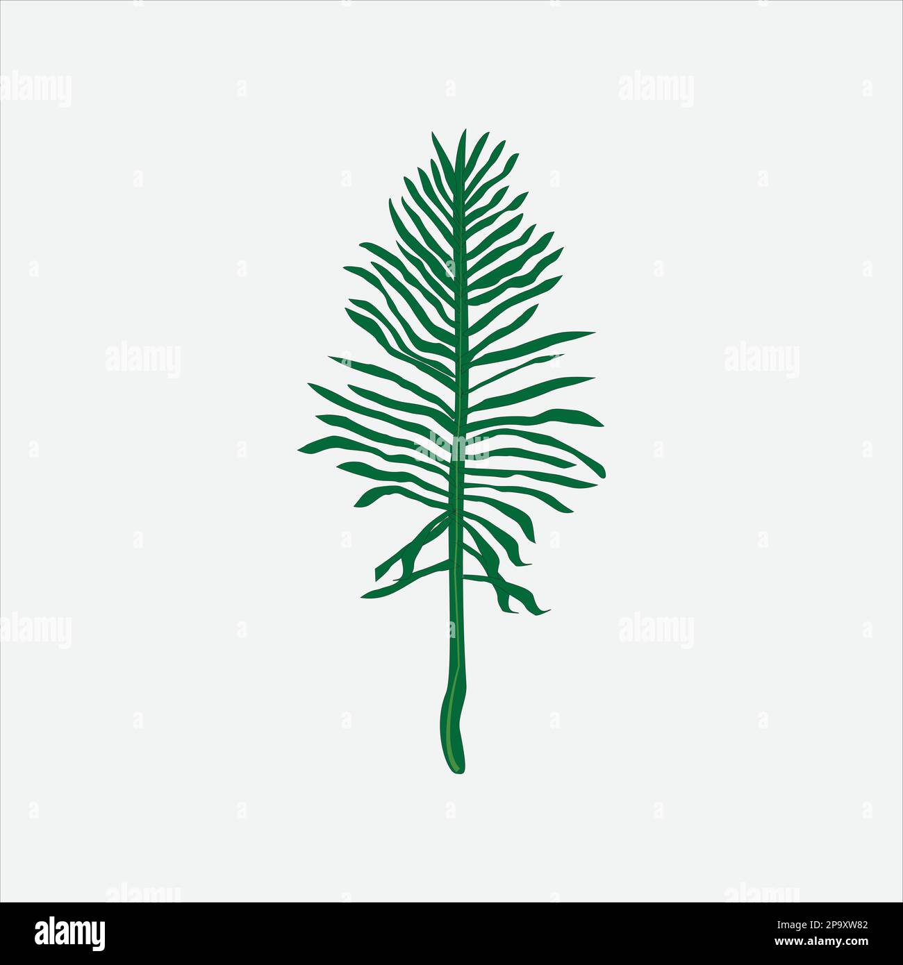 leave vector art on white background Stock Vector Image & Art - Alamy