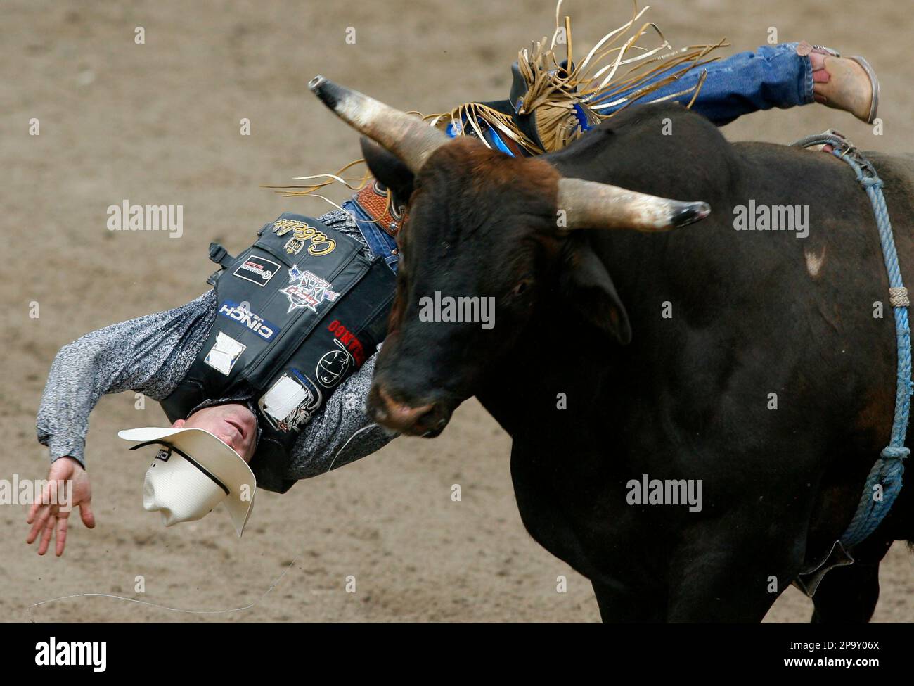Cowboy Brendon Clark, from Coalinga, Calif., is bucked off a bull ...
