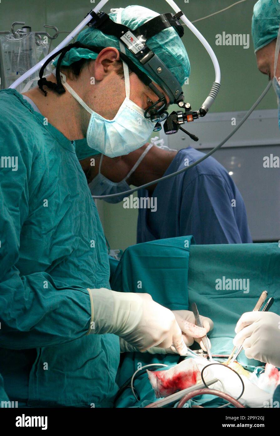 German surgeon Christian Schlenzak, left, and his team perform an open ...