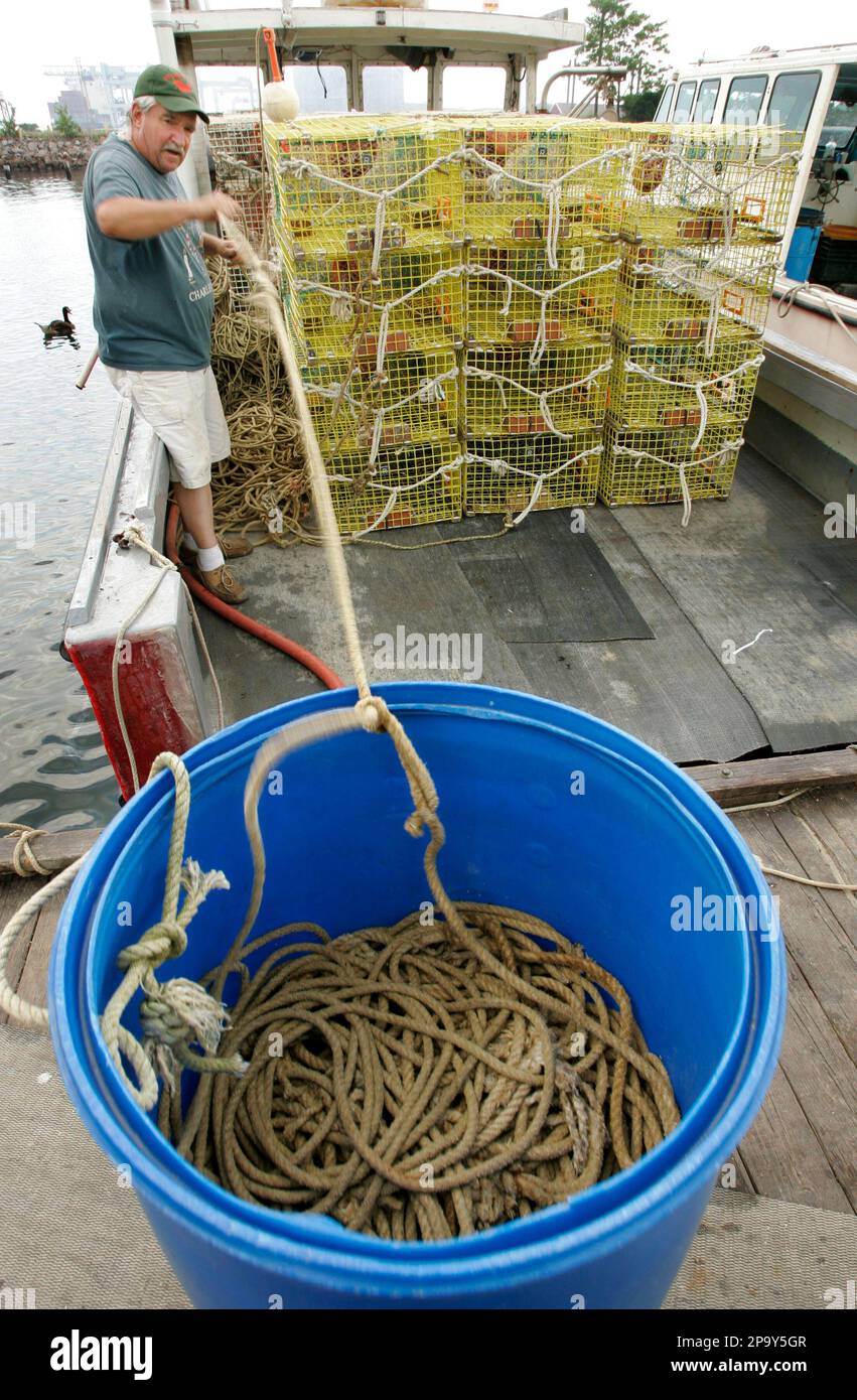 Lobster fisherman Bernie Feeney, of Whitman, Mass., prepares lobster ...