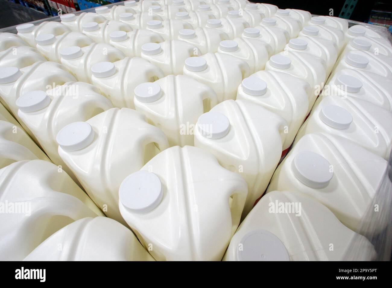 Gallon of milk in newly designed stackable jugs are shown at a Costco ...
