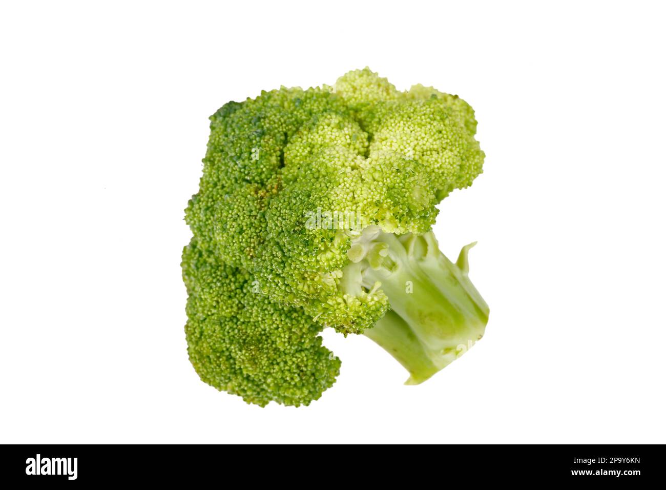 Broccoli isolated on white background,A close-up shot Stock Photo - Alamy