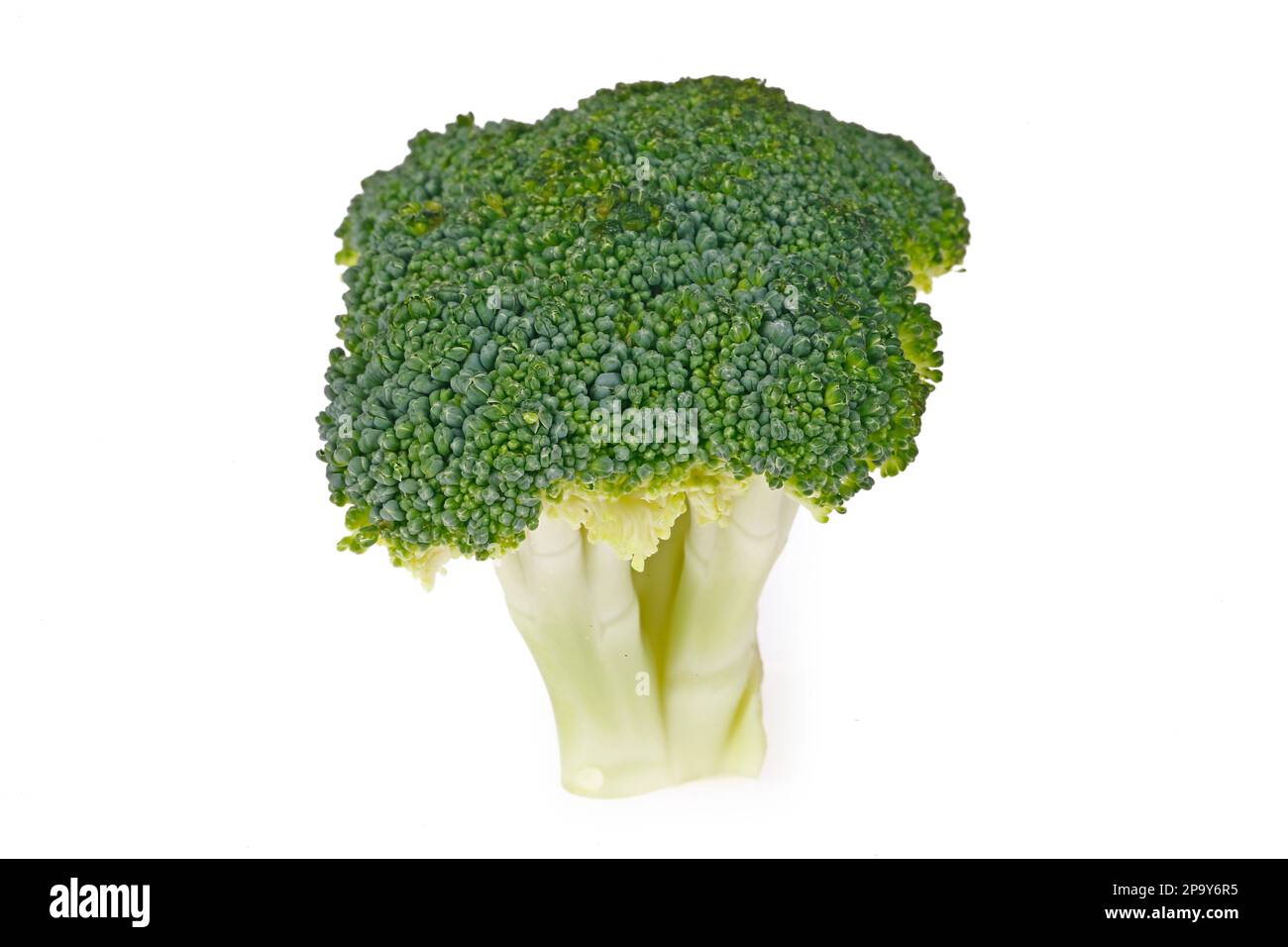 Broccoli isolated on white background,A close-up shot Stock Photo - Alamy