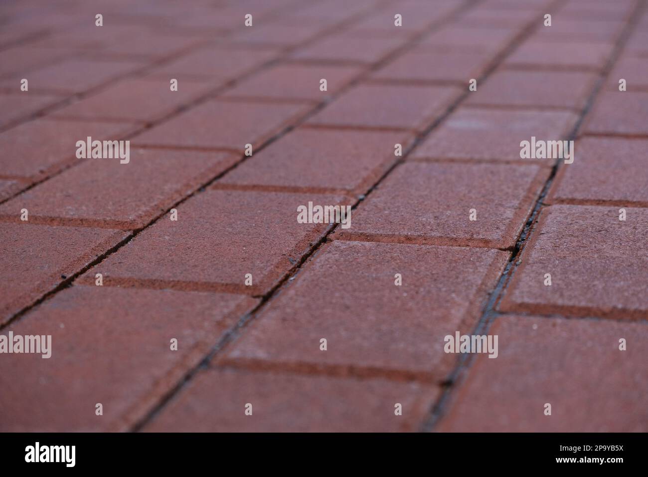 Close-up shot of burgundy-colored clinker pavement tiles with selective ...