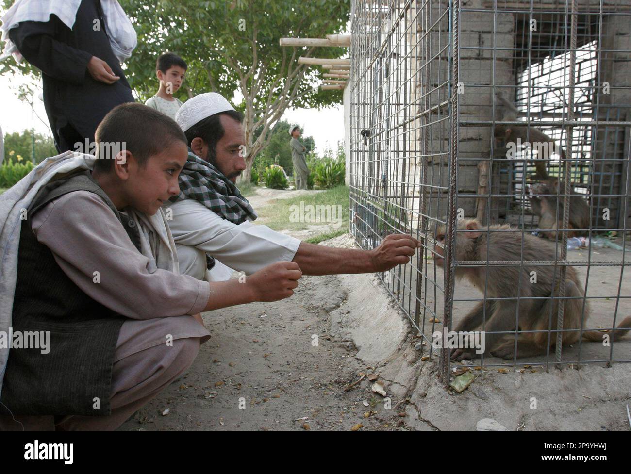 An Afghan man feeds a monkey at a zoo on the out skirts of the city in ...