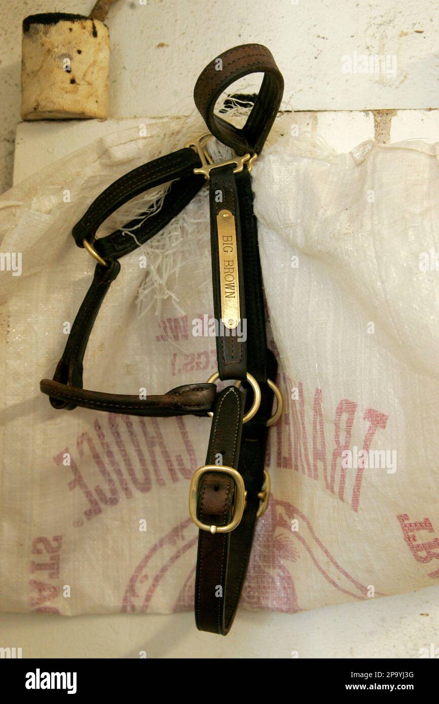 The bridle for Preakness and Kentucky Derby winner Big Brown, hangs ...