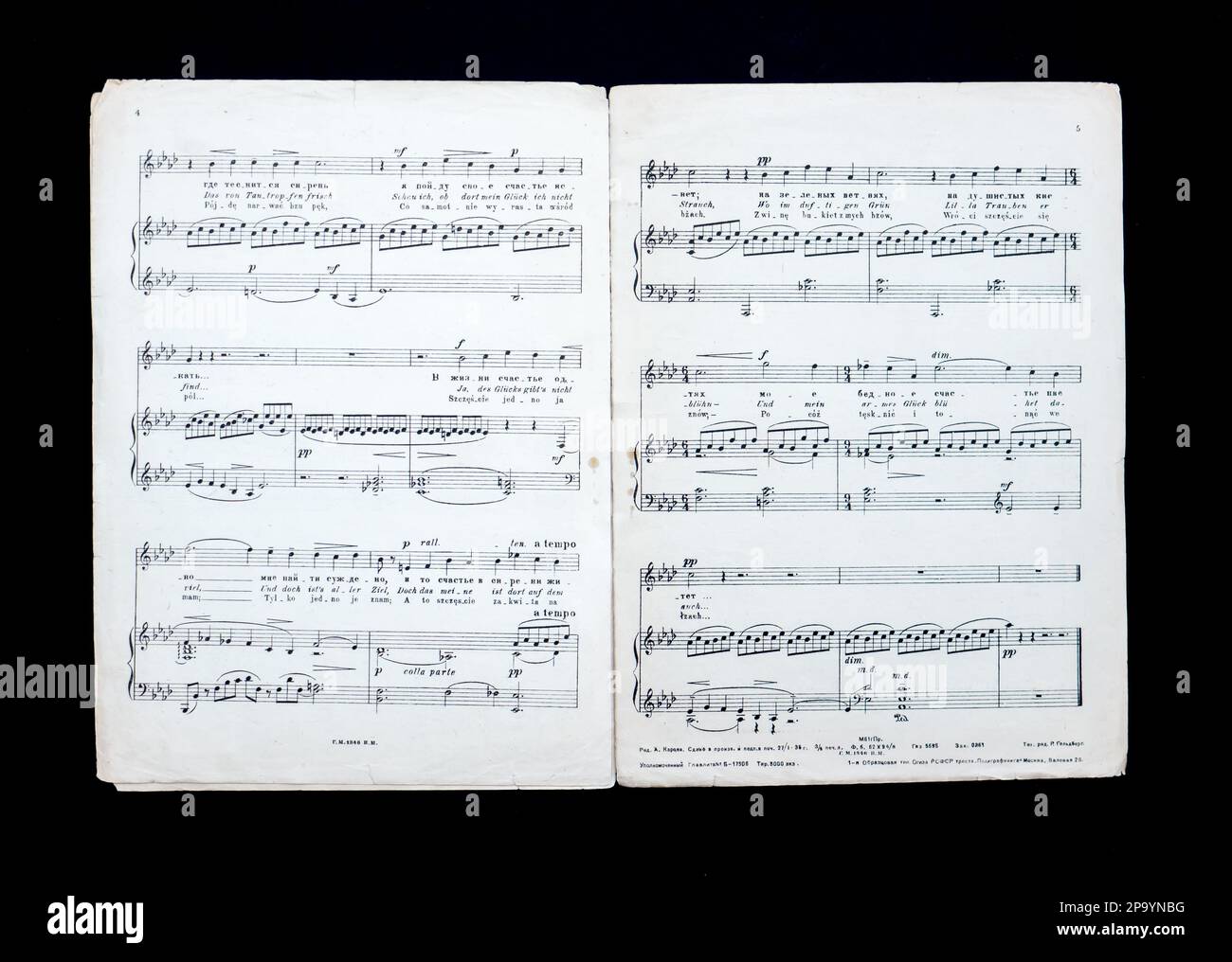 Vintage sheet music "Lilac. Composition 21, No. 5. For voice and piano ...