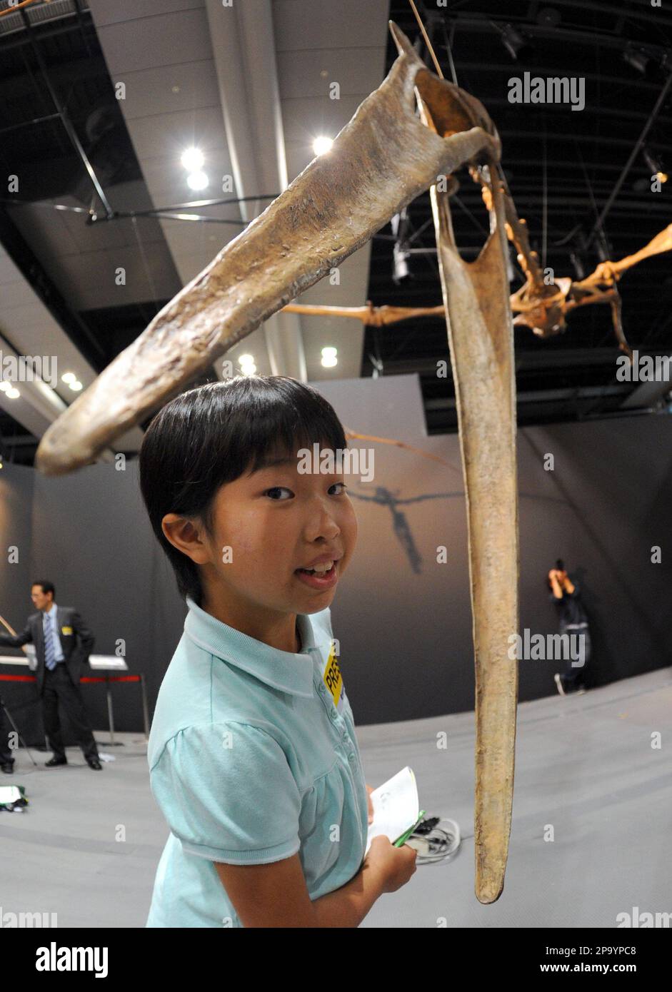 A full-scale replica of the largest winged creature ever discovered on ...