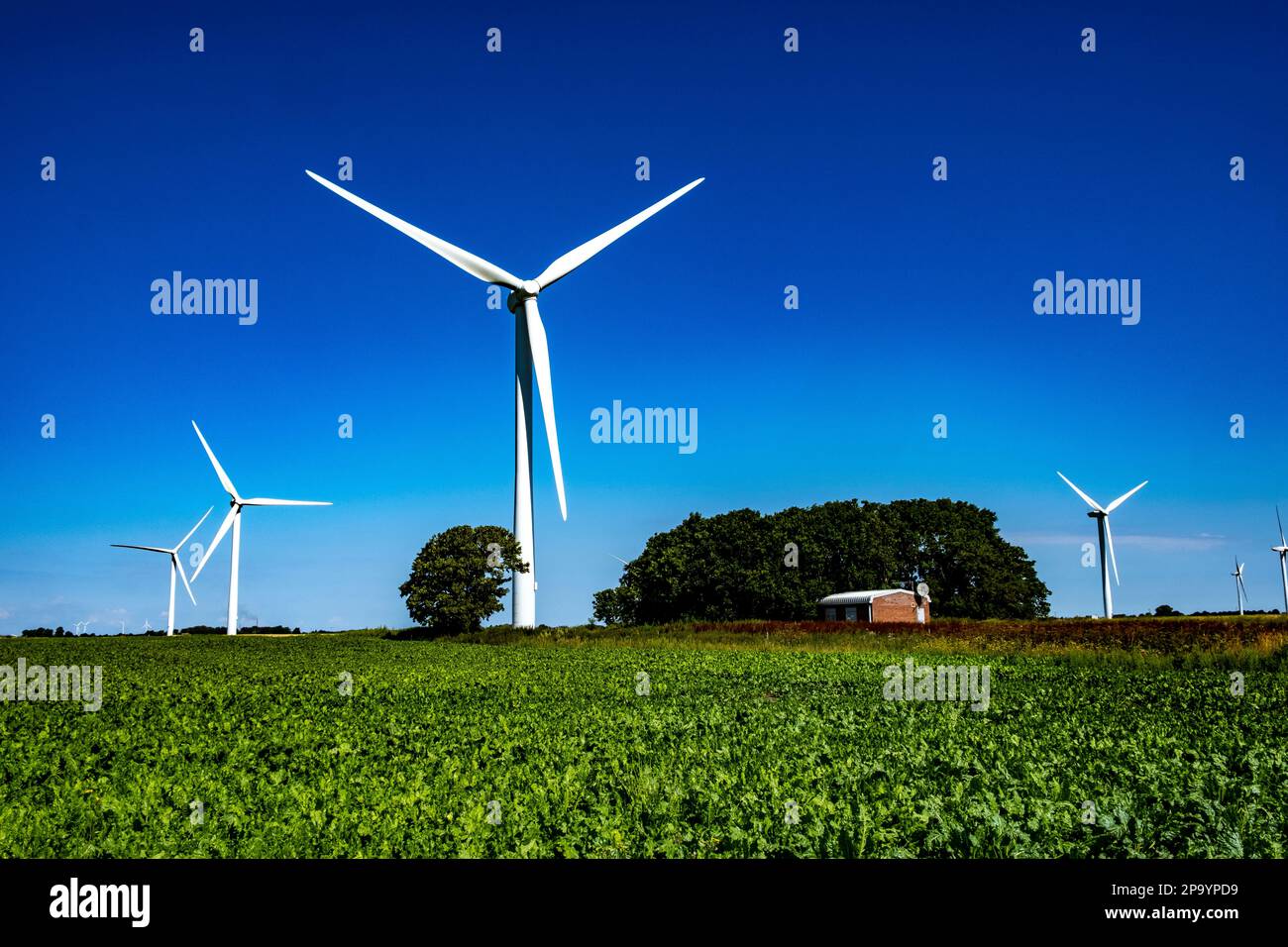 On shore British Windfarms Glass Moor windfarm Stock Photo - Alamy