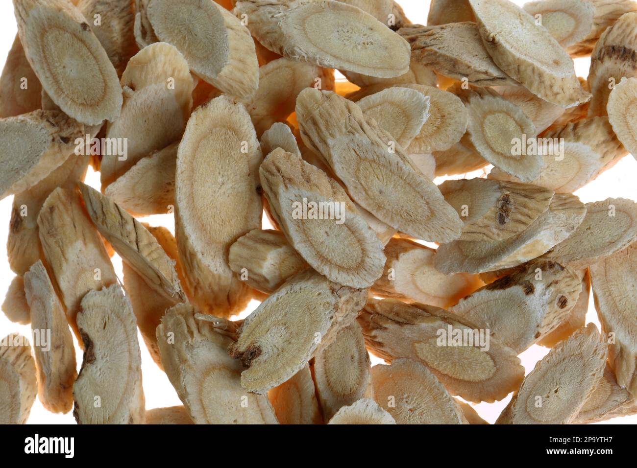 Chinese herbal medicine astragalus membranaceus on a white background ...