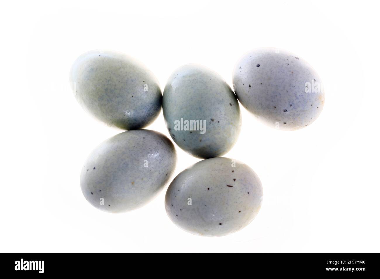 Eggs, duck egg, preserved egg on a white background, close-up pictures ...