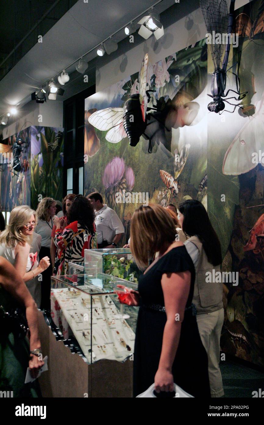 ** FILE ** In this June 4, 2008 file photo, early visitors walk through ...