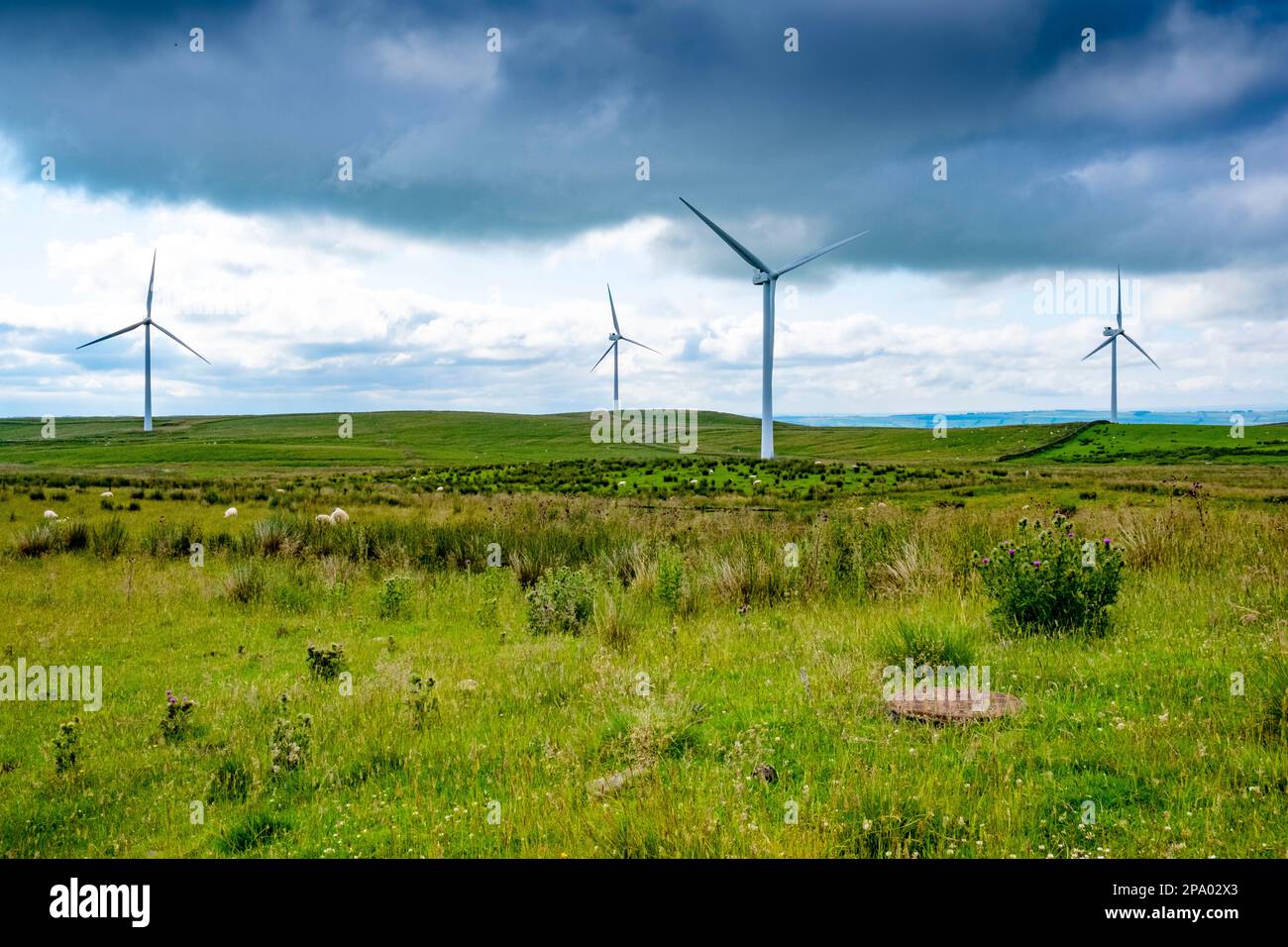 On shore British Windfarms Green Rigg Wind farm Stock Photo - Alamy