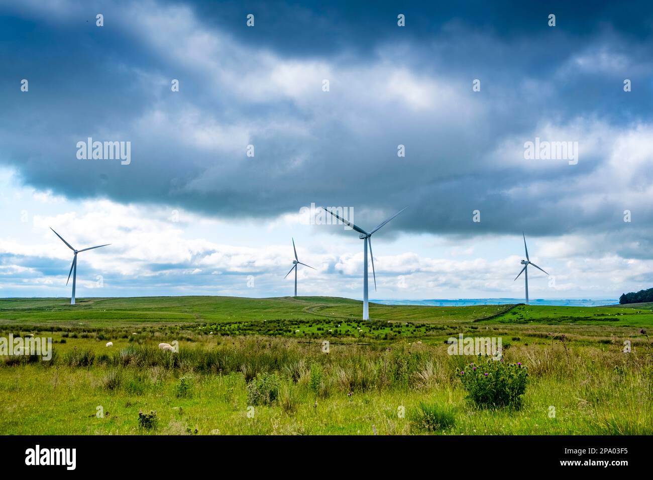On shore British Windfarms Green Rigg Wind farm Stock Photo - Alamy