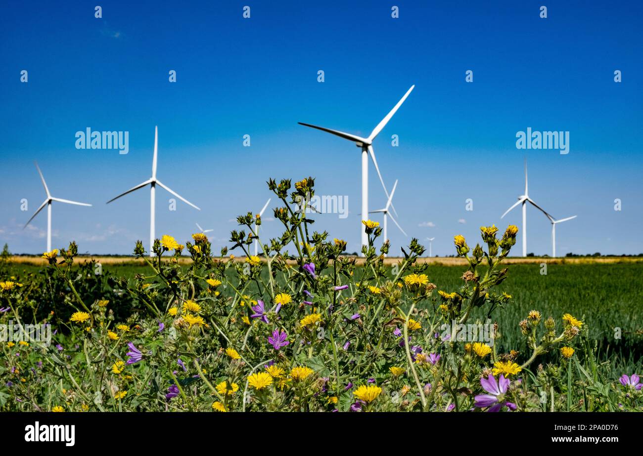 On shore British Windfarm Red tile Stock Photo - Alamy