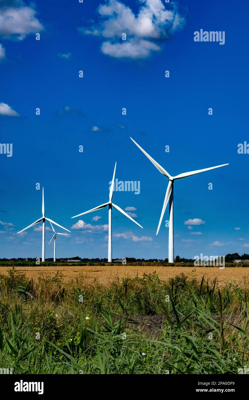 On shore British Windfarm Red tile Stock Photo - Alamy
